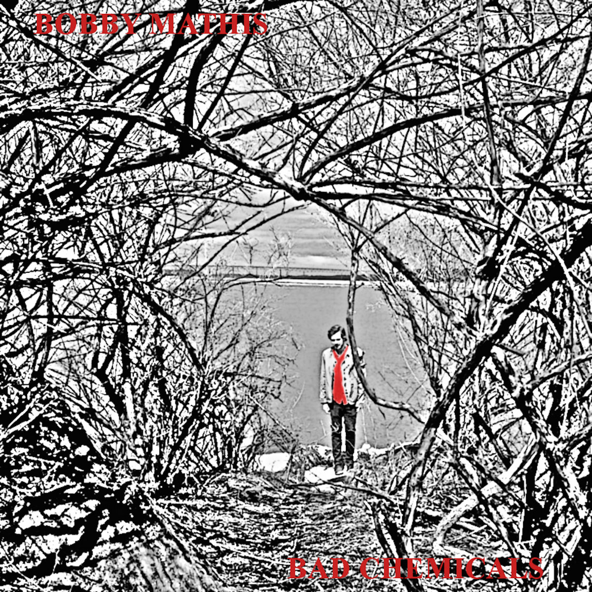 Bad Chemicals | Bobby Mathis