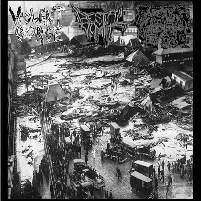 Tinnitus Aficionado | Violent Gorge, Bestial Vomit, Bachelor Weekend ...