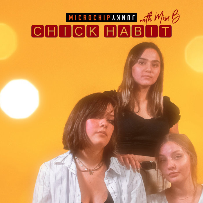 Chick Habit | Microchip Junky