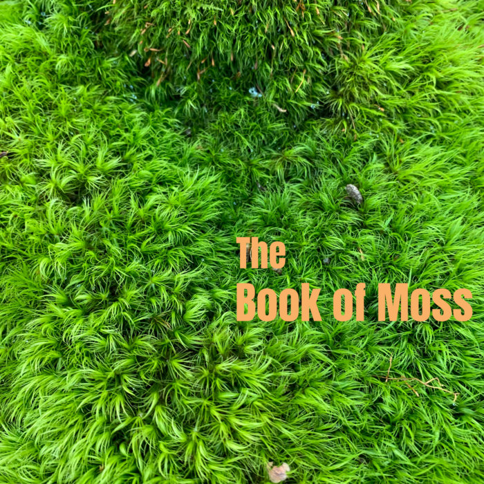 The Book of Moss | Bow Thayer