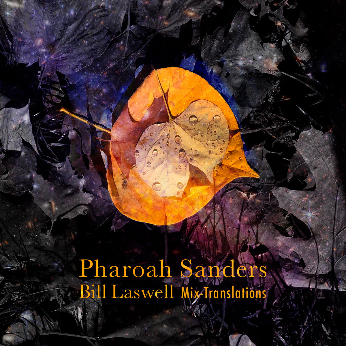 Bill Laswell Mix-Translations | Pharoah Sanders | Bill Laswell