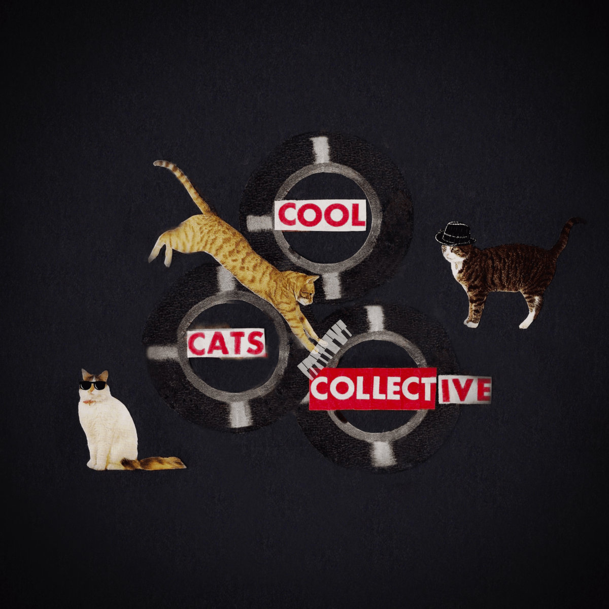 Cool Cats Collective | Sunnyside Avenue | Luminary Media