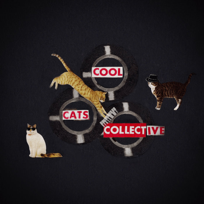 Cool Cats Collective | Sunnyside Avenue | Luminary Media