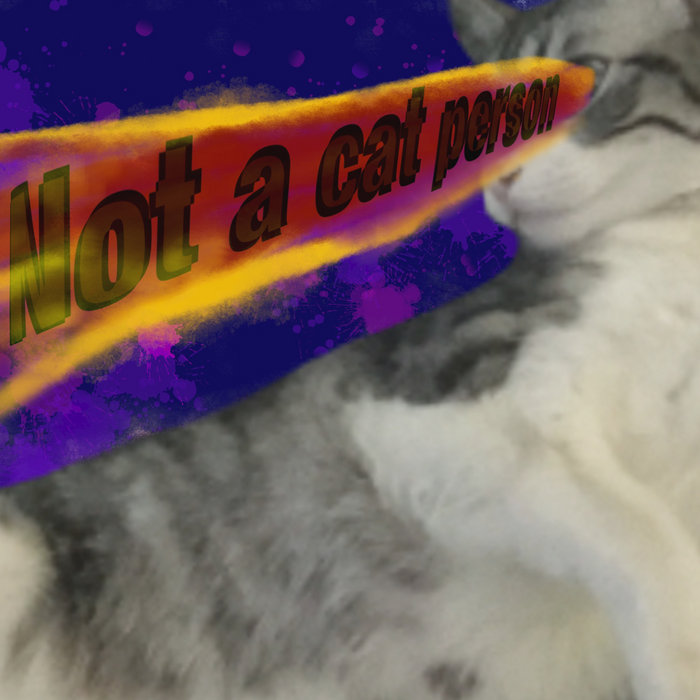 Not A Cat Person | Glenwood Crowe