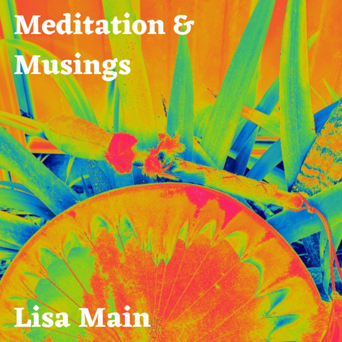 Meditation and Musings | Lisa Main