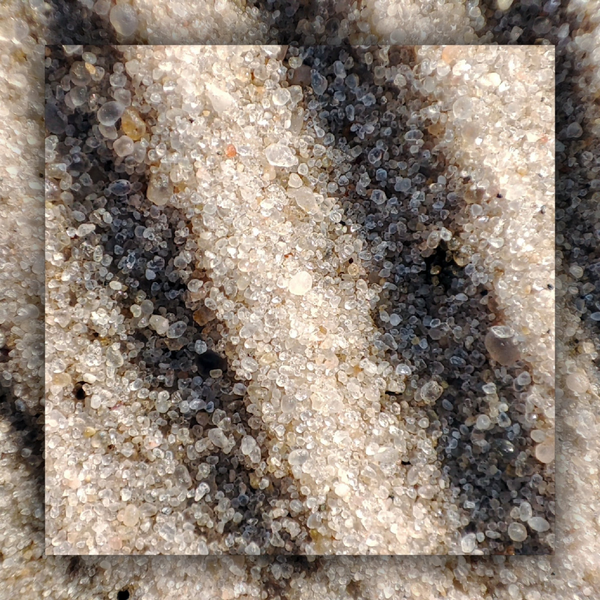 Honor Thy Sand | Vlad Suppish