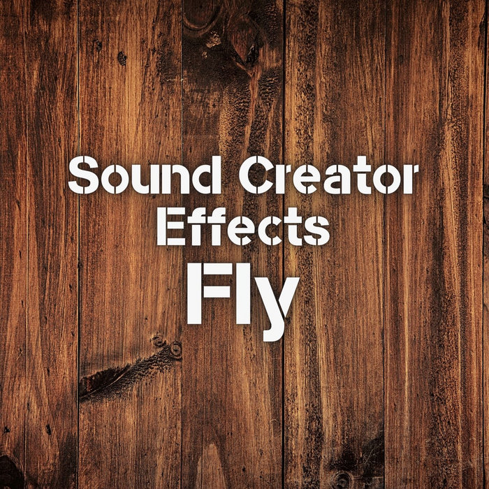 Fly | Sound Creator (Royalty-Free Effects)