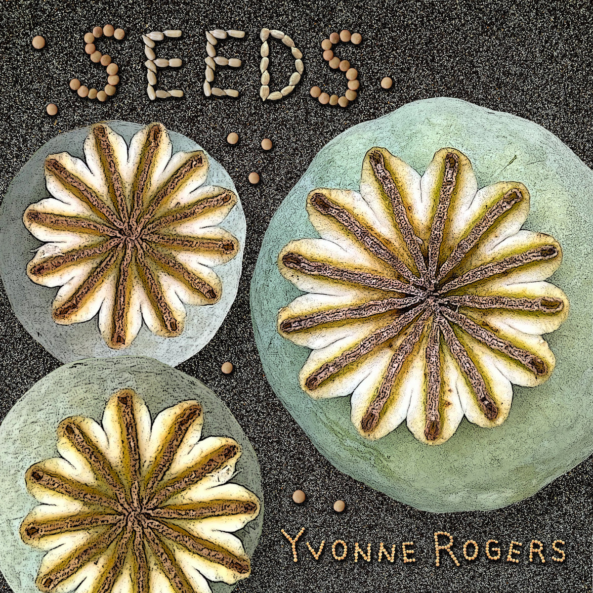Seeds | Yvonne Rogers