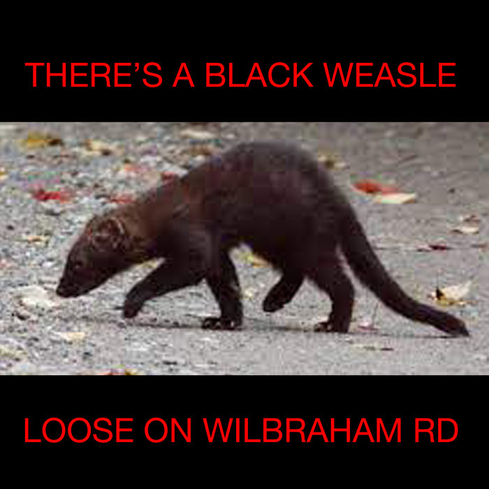 THERE'S A BLACK WEASLE LOOSE ON WILBRAHAM ROAD | Jim E. Brown