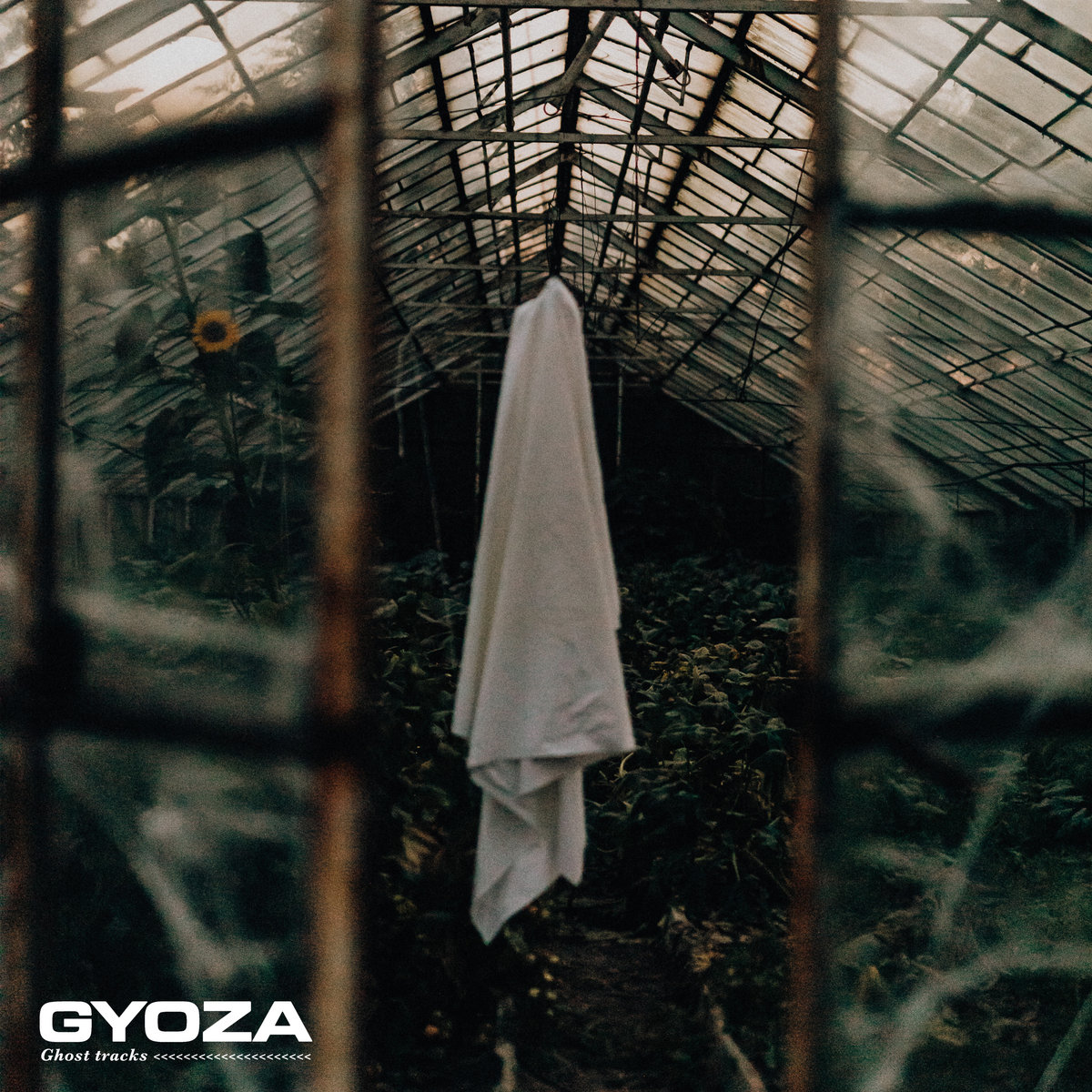 GHOST TRACKS | GYOZA