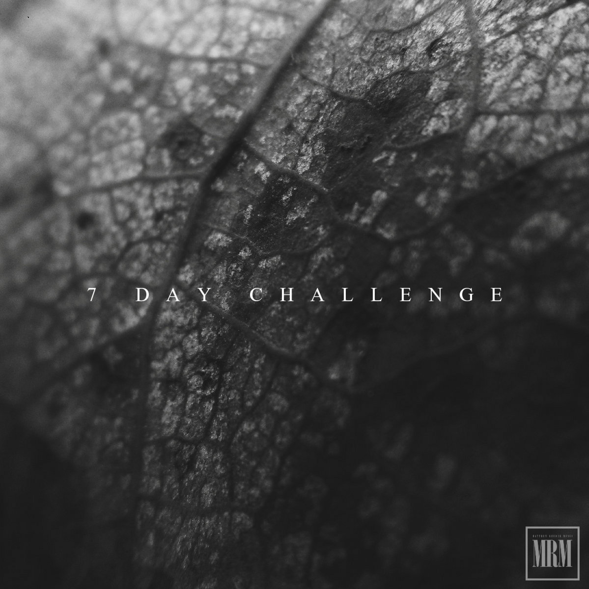 7 day challenge | Matthew Reeder