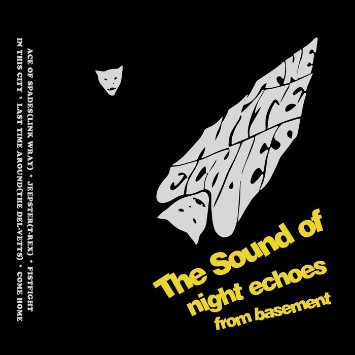 The Sound of Night Echoes from Basement | Nite Echoes