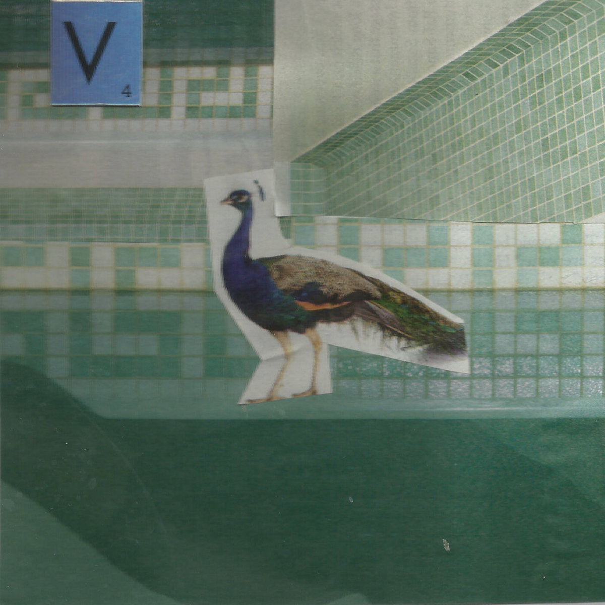 Vulcanicity! (40 Years Series) | Bonbon Experiment