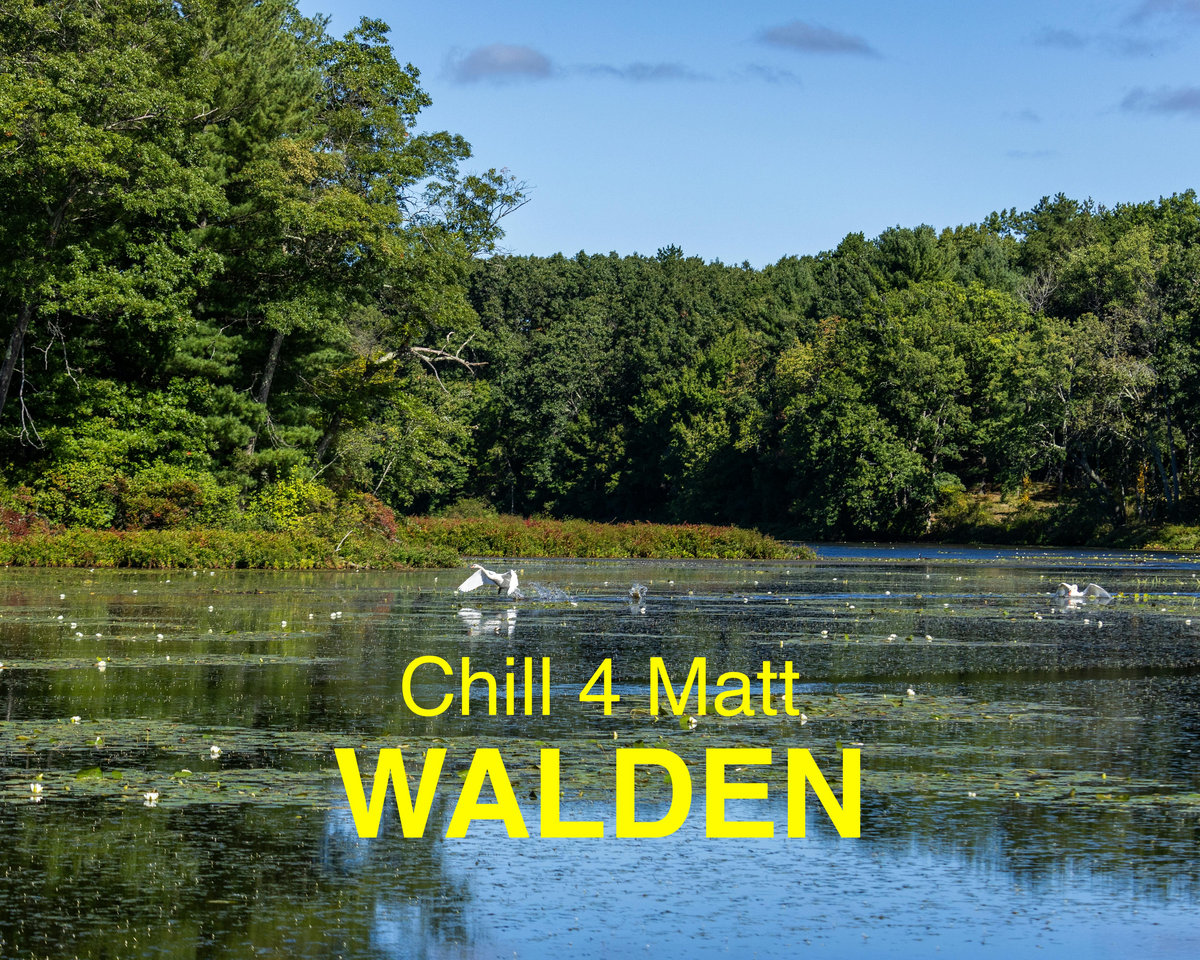 Walden | Chill 4 Matt