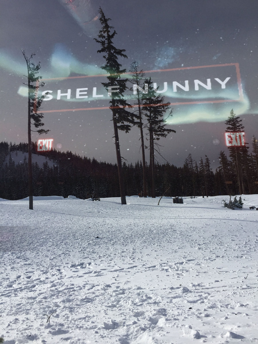 To Her I'm Invisible | SHELF NUNNY