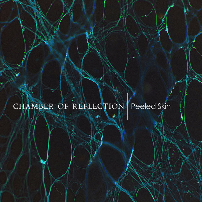 Peeled Skin - Single | Chamber of Reflection