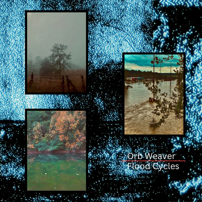 Flood Cycles | Orb Weaver