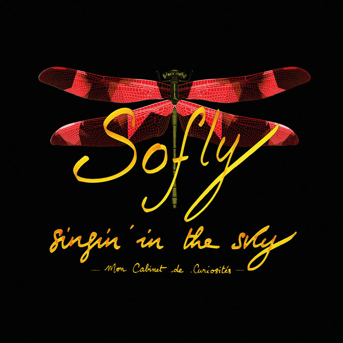 Mon Cabinet de Curiosités | Sofly Singin'in the sky