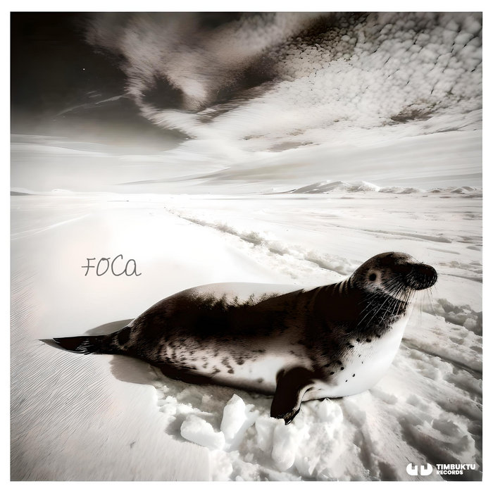 FOCA | FOCA | Timbuktu Records