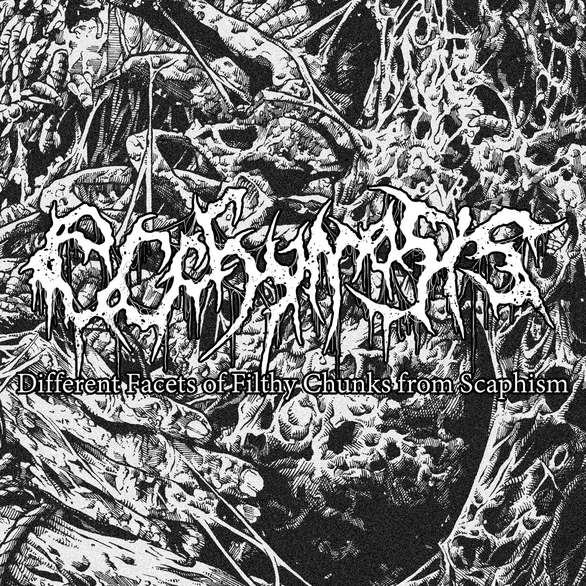 Different Facets of Filthy Chunks from Scaphism | ECCHYMOSIS