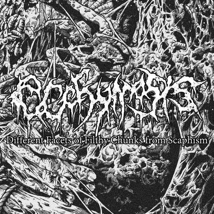 Different Facets of Filthy Chunks from Scaphism | ECCHYMOSIS