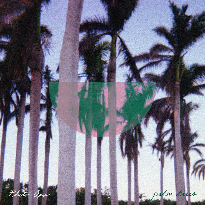 Palm Trees | Photo Ops