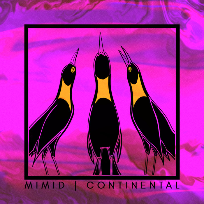 Continental | Mimid