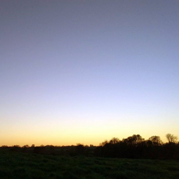 fox covert | sevenism