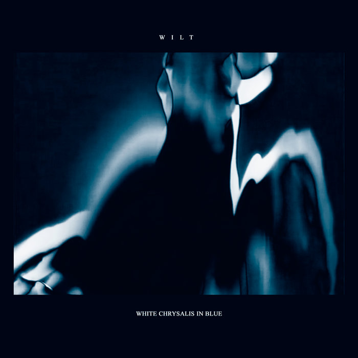 White Chrysalis in Blue | WILT
