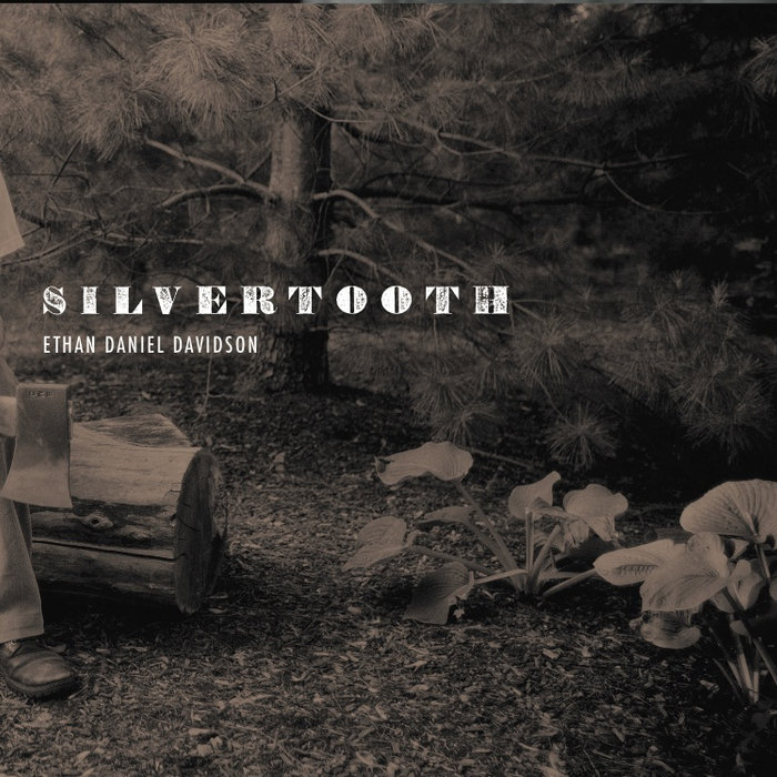 Silvertooth | Ethan Daniel Davidson