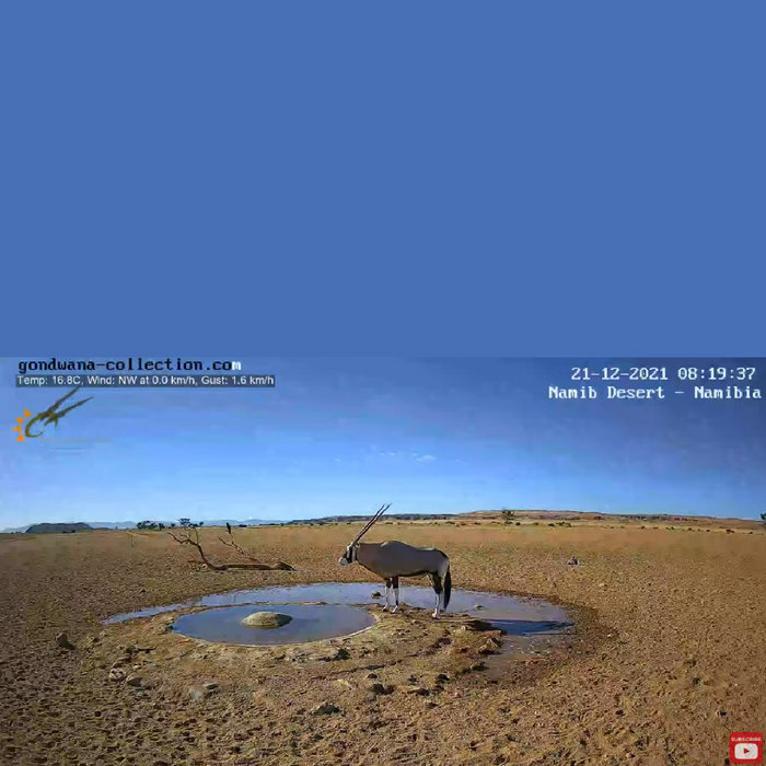 Namibia: Live stream in the Namib Desert | TCLB