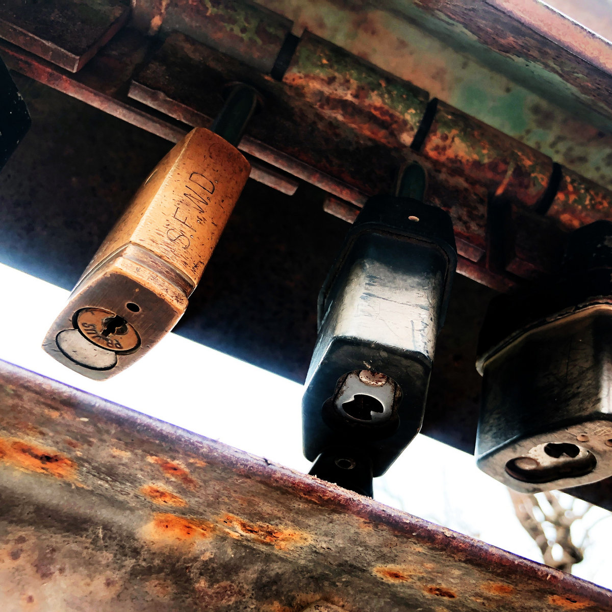 SFWD | Zack Steinkamp