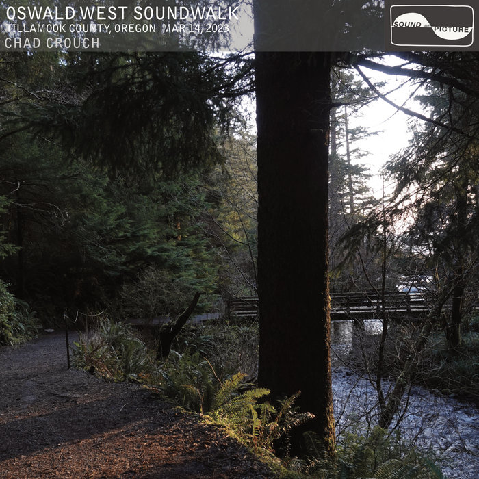Oswald West Soundwalk | Chad Crouch
