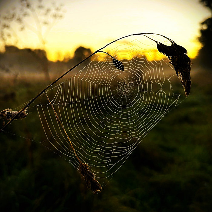 Fragile (Album) | Keep Walking