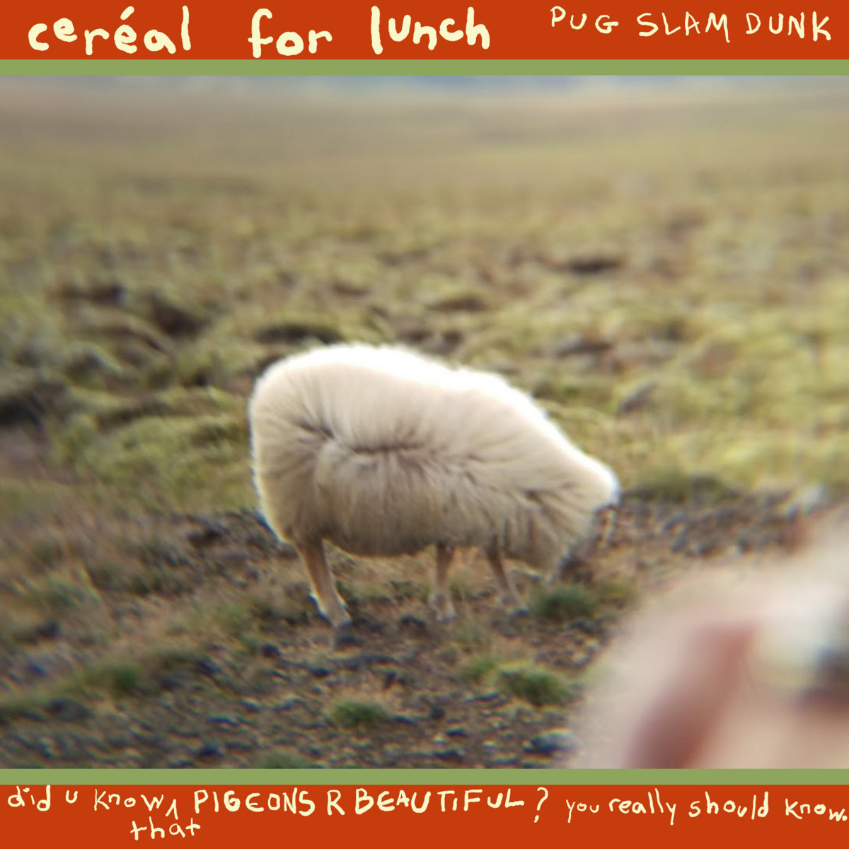 Pug Slam Dunk | Ceréal for Lunch