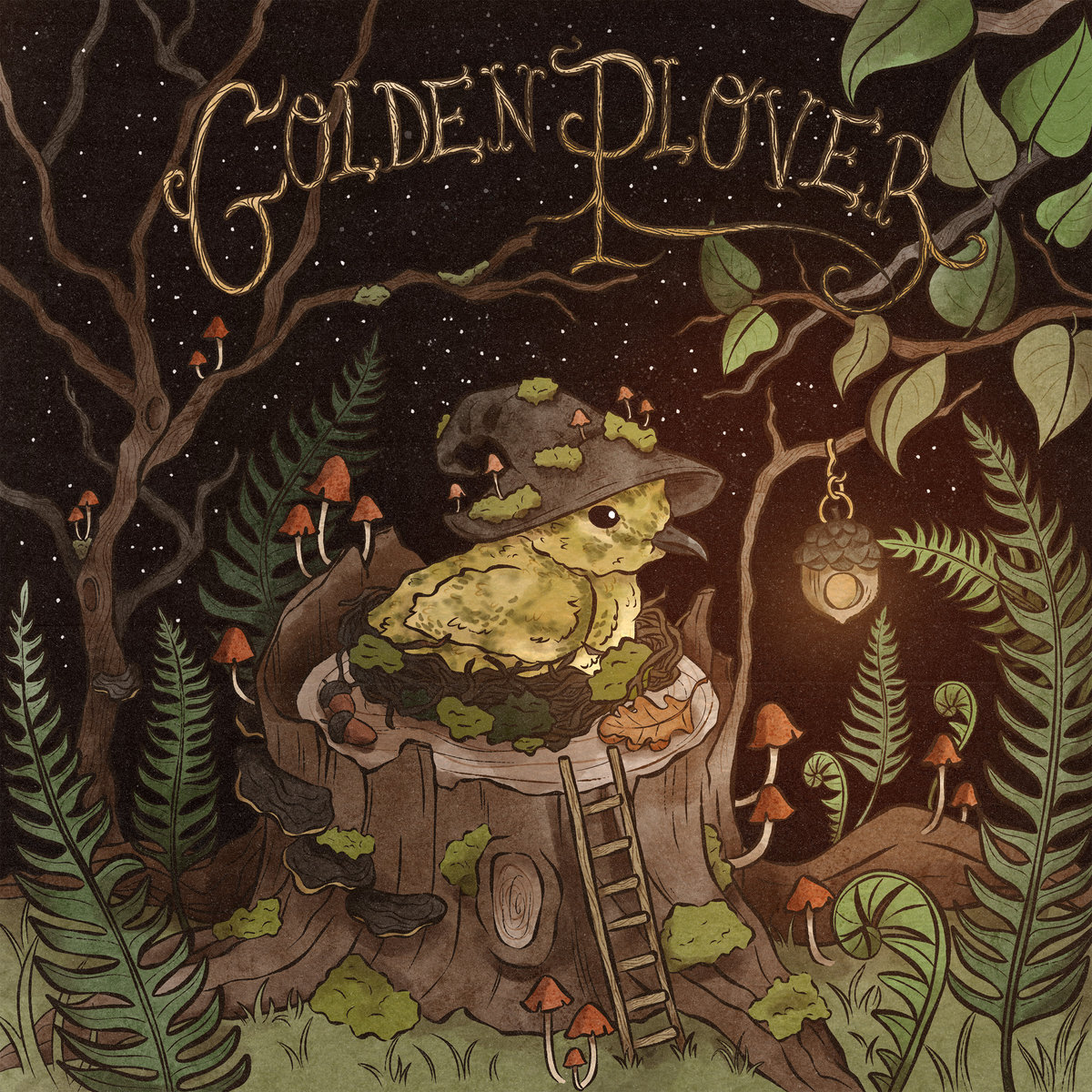 Green as Moss: A Golden Adventure | Golden Plover