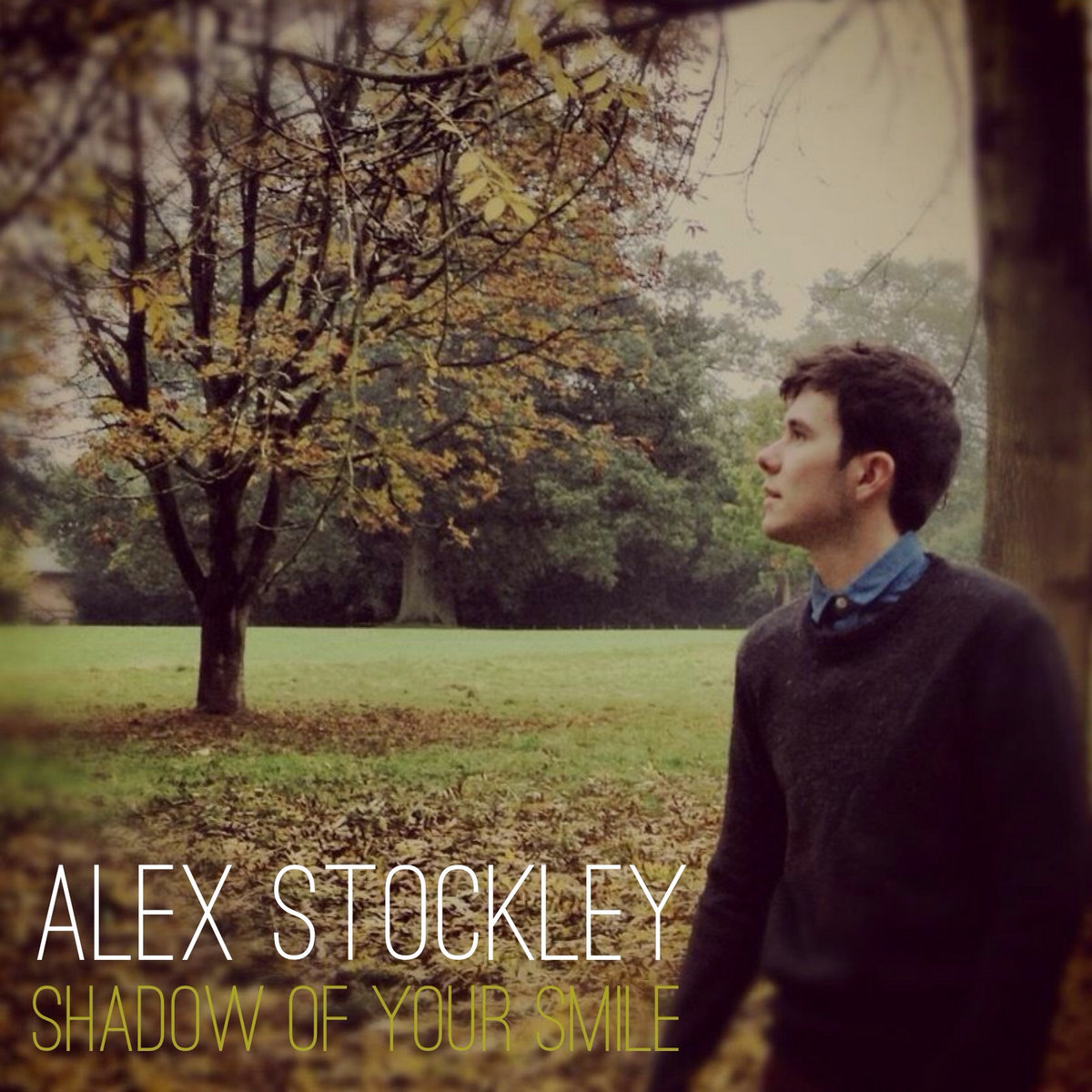 Shadow Of Your Smile | Alex Stockley