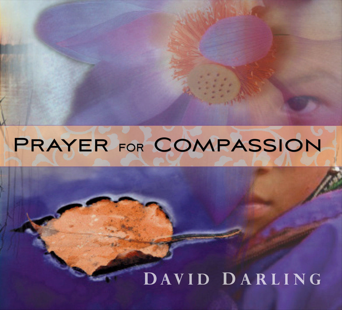 Prayer For Compassion | David Darling