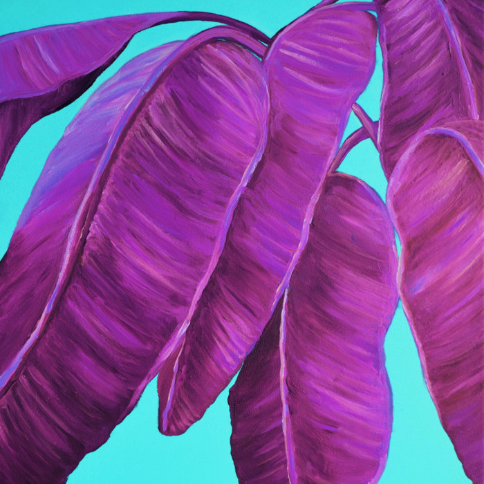 Super Cat | Lizard Sweets