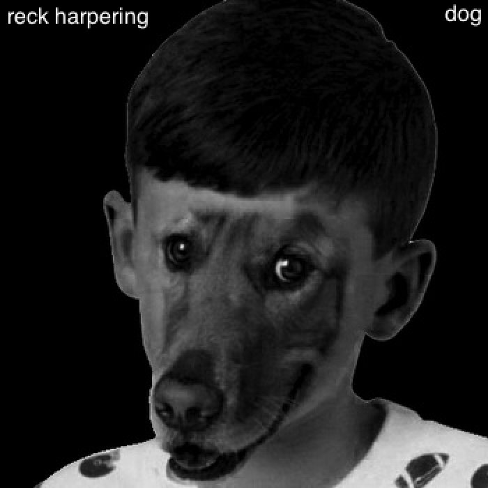 dog | reck harpering