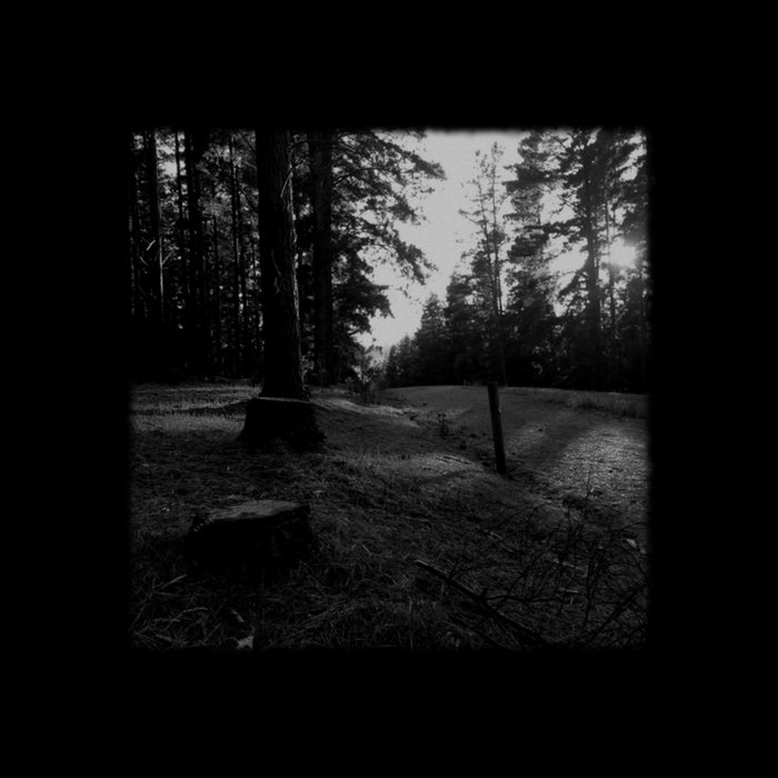 Cosmic Indifference & TAB IN / TAB OUT | Cosmic Indifference & TAB IN ...