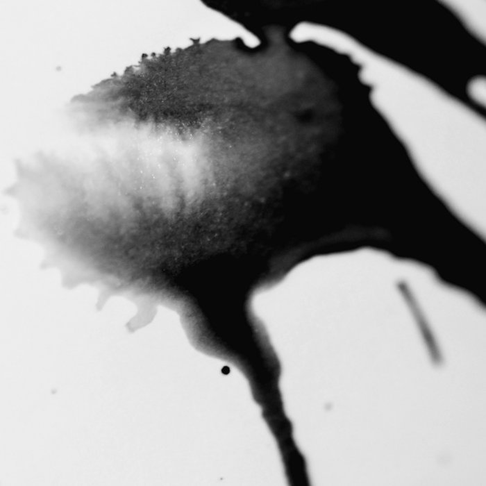 Presença EP | Robert Hoff