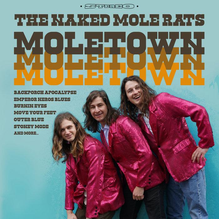 Moletown | The Naked Mole Rats