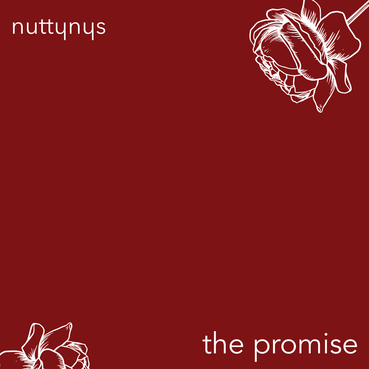 The Promise | Nutty Nys