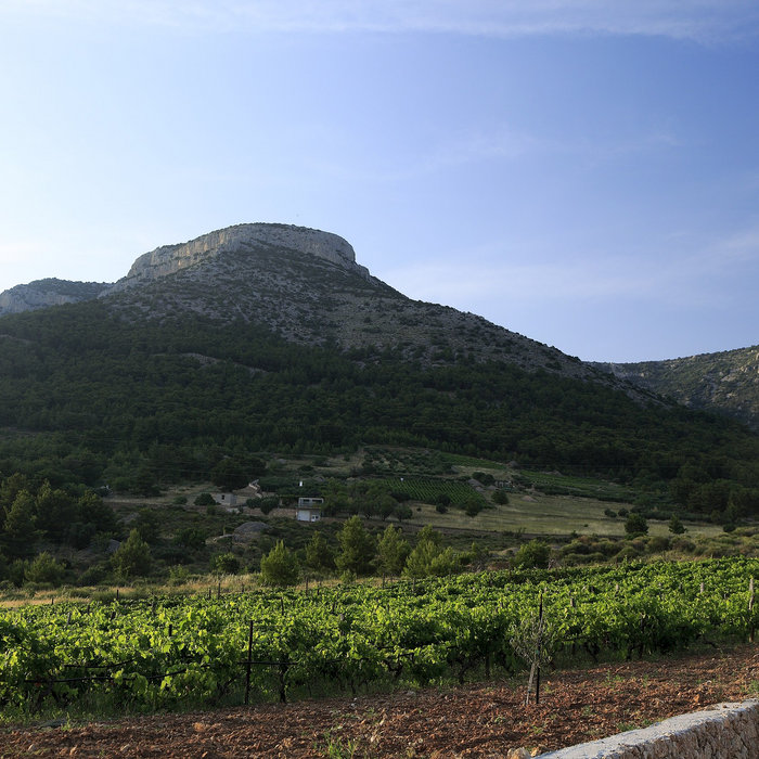 shittrack | asdf | Fanmade Records