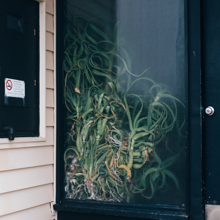 Gravity Spells II | Billy Gomberg