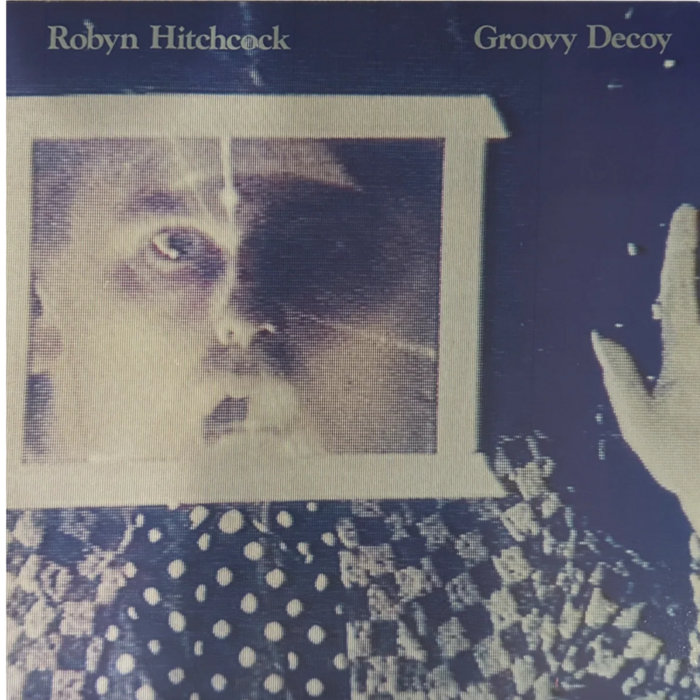 Groovy Decoy | Robyn Hitchcock