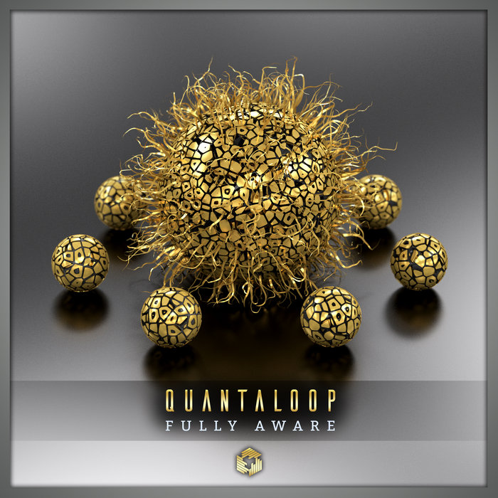 Fully Aware | Quantaloop