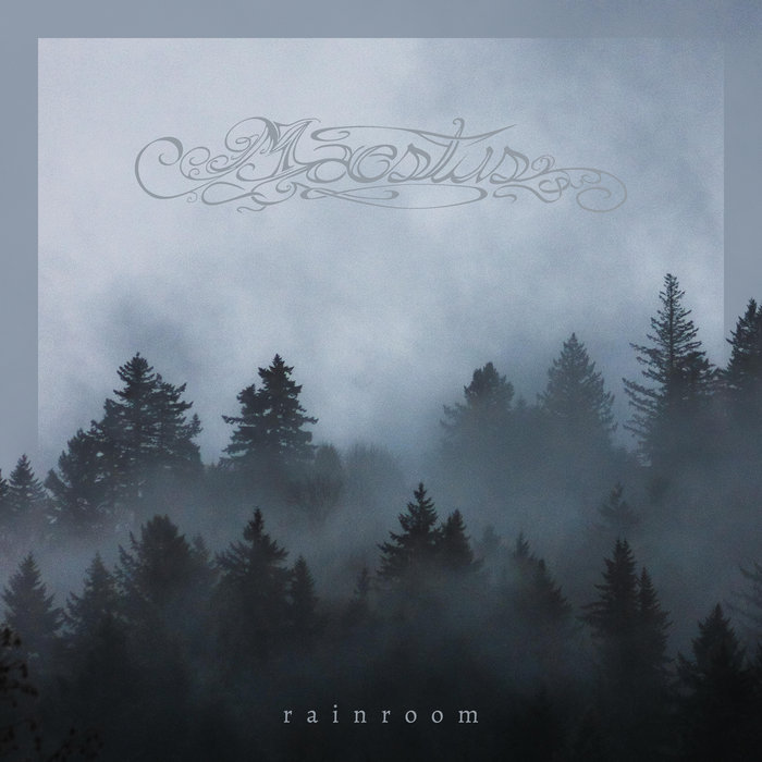 Rainroom | Maestus