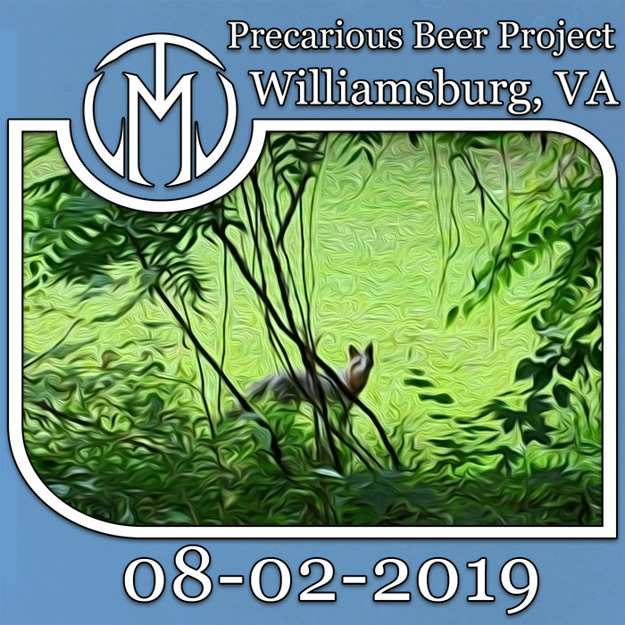 2019-08-02 Precarious Beer Project Williamsburg, VA | The Mantras